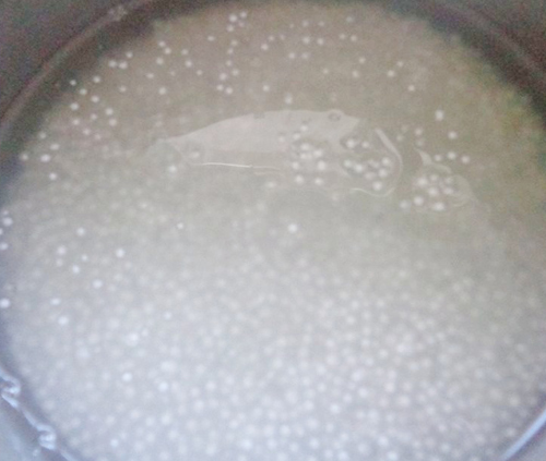 Chè trái vải thạch đen ngon ơi là ngon