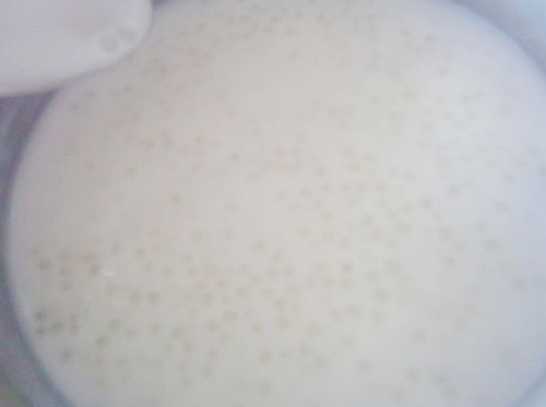 Chè trái vải thạch đen ngon ơi là ngon