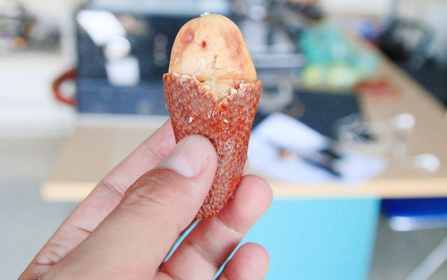 Mây Thái hút khách vì lạ