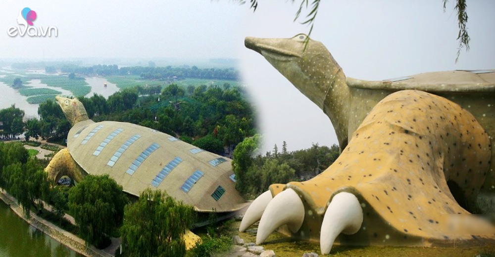 Lạ đời tòa nhà hình con rùa khổng lồ mà nhìn xa cứ ngỡ cụ rùa lên bờ