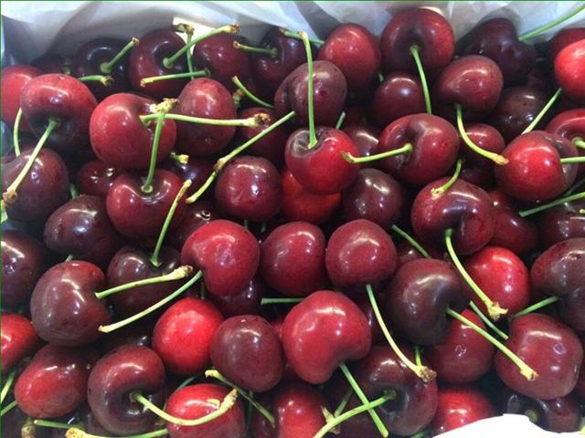Nếu bỏ qua những điều này, bạn không bao giờ mua được cherry xịn và ngon