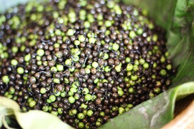 Loại quả xưa rụng không ai nhặt, nay là đặc sản hiếm 300.000 đồng/kg ...