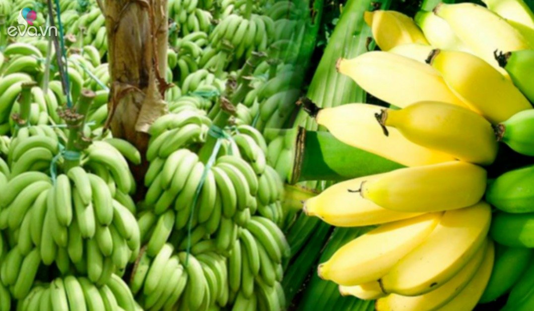 6 loại quả những người sống lâu nhất trên thế giới ăn thường xuyên, có ...