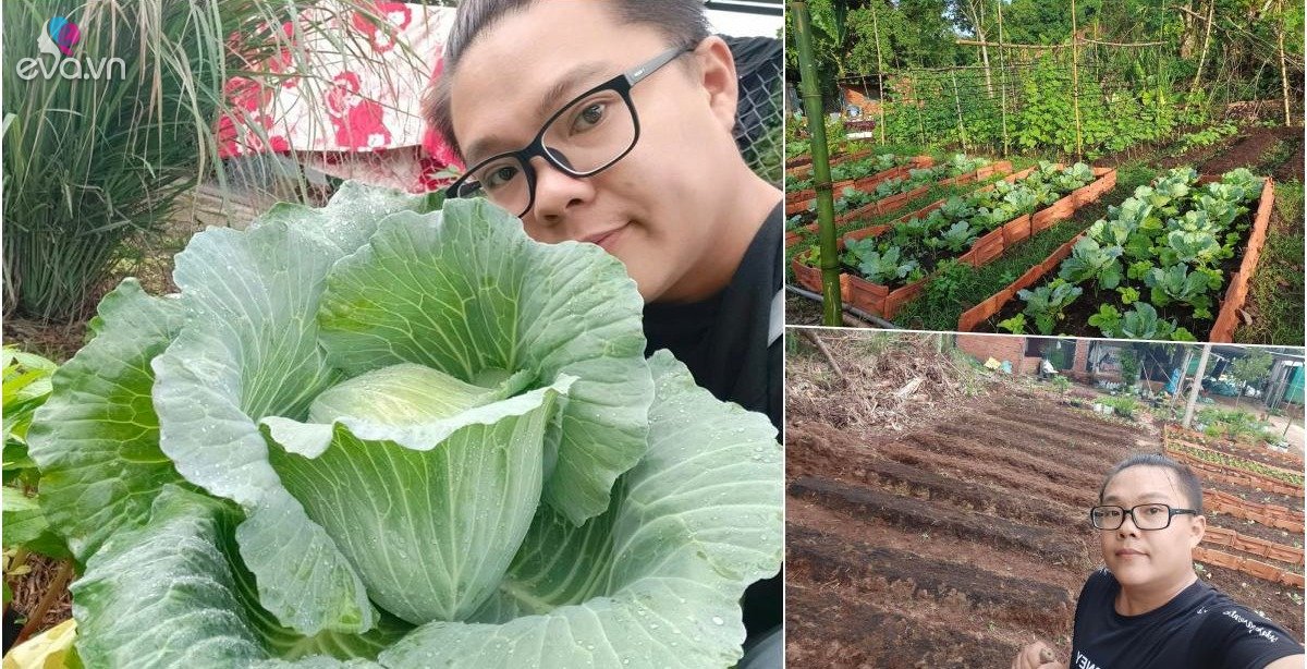 Đang cầm cọ trang điểm, chàng trai 8X nghỉ việc về quê cầm cuốc trồng ...