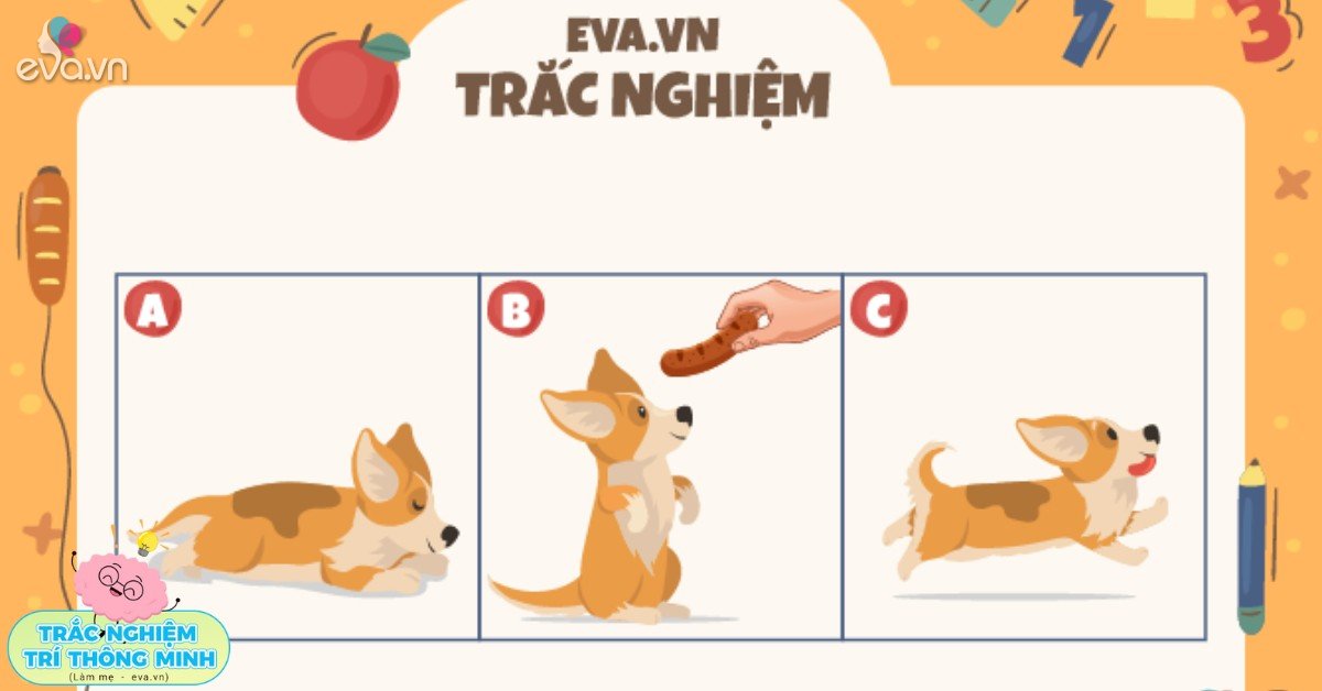 6 bài thử thách nhận diện tiềm năng trí tuệ trẻ 6 – 8 tuổi (Phần 2)