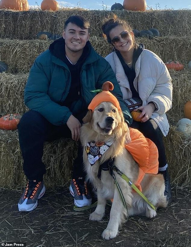 Câu chuyện cảm động về một chú chó sắp qua đời