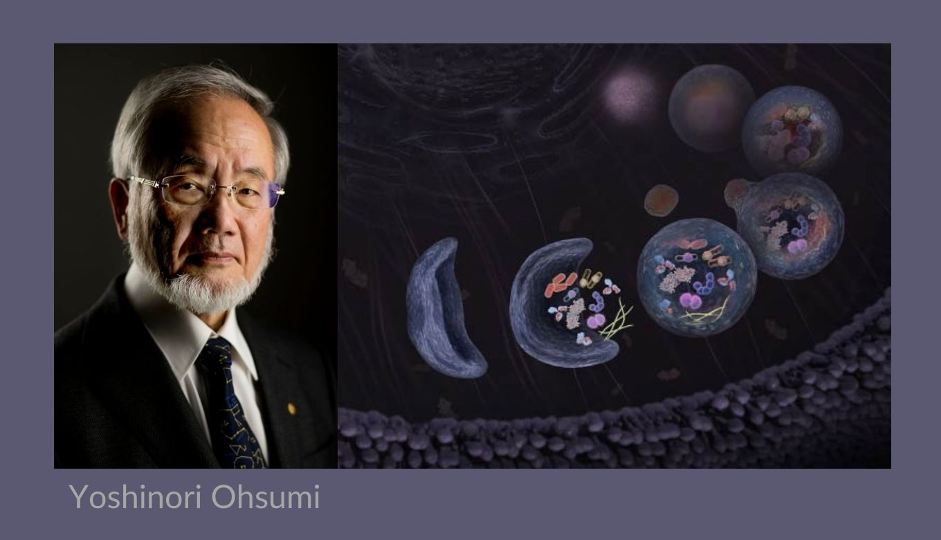 Ứng dụng giải Nobel Y Sinh học, thương hiệu Việt đột phá trong sản xuất ...