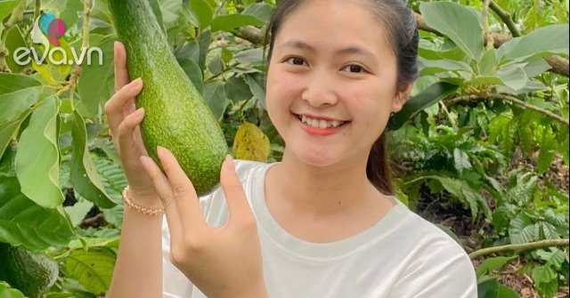 Trang ở Đak Lak: Khi mùa dịch thách thức và quyết định trở về với nông ...