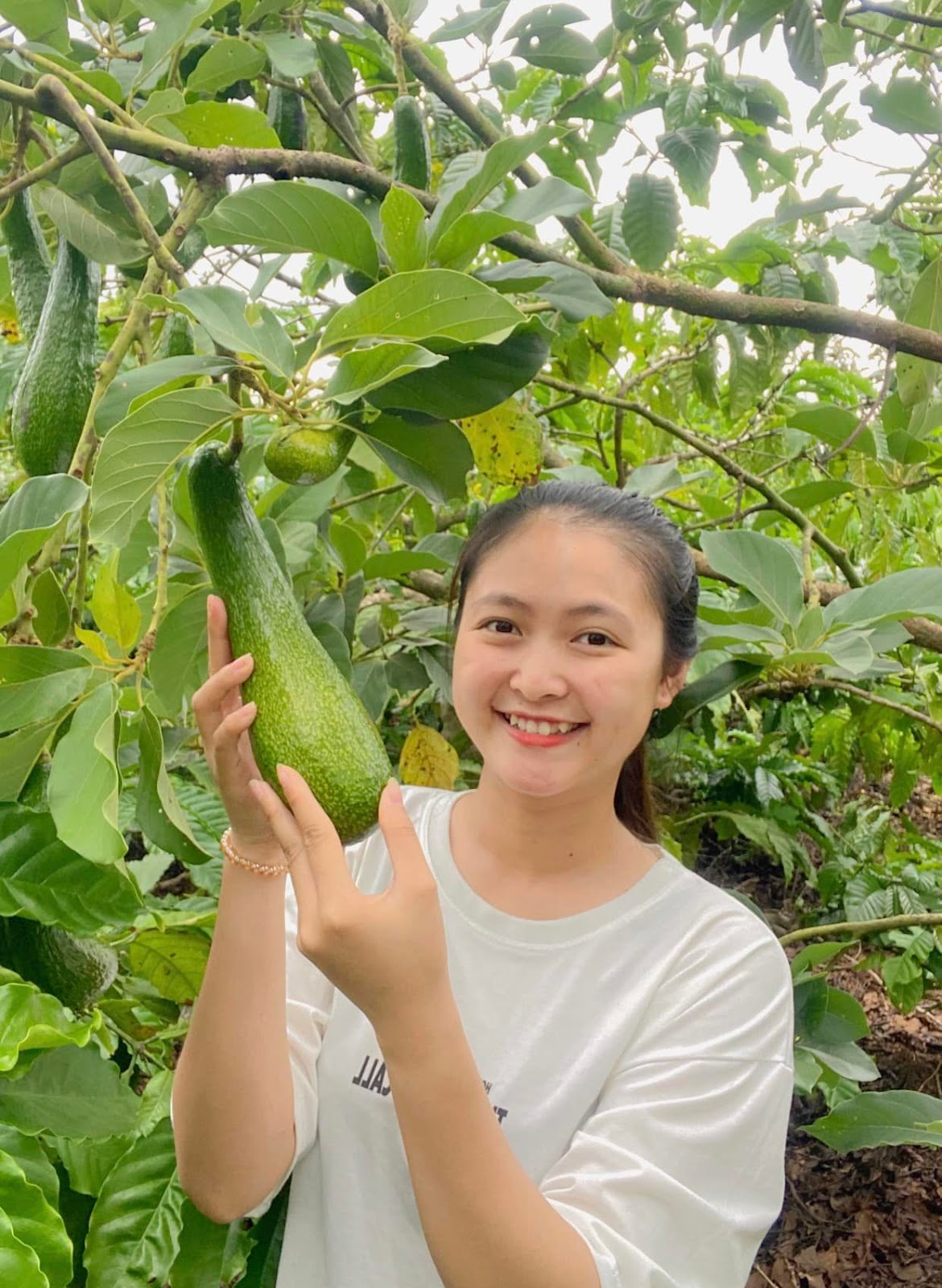 Trang ở Đak Lak: Khi mùa dịch thách thức và quyết định trở về với nông ...