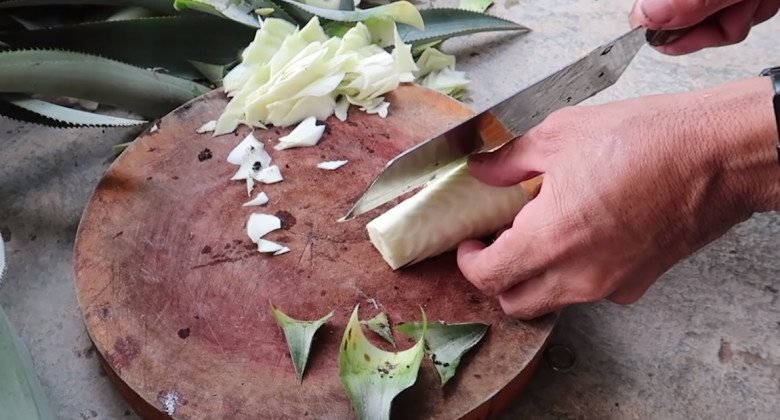 Thứ bỏ đi của cây khóm nặng chưa đến 100g không ngờ là đặc sản hiếm, 90 ...