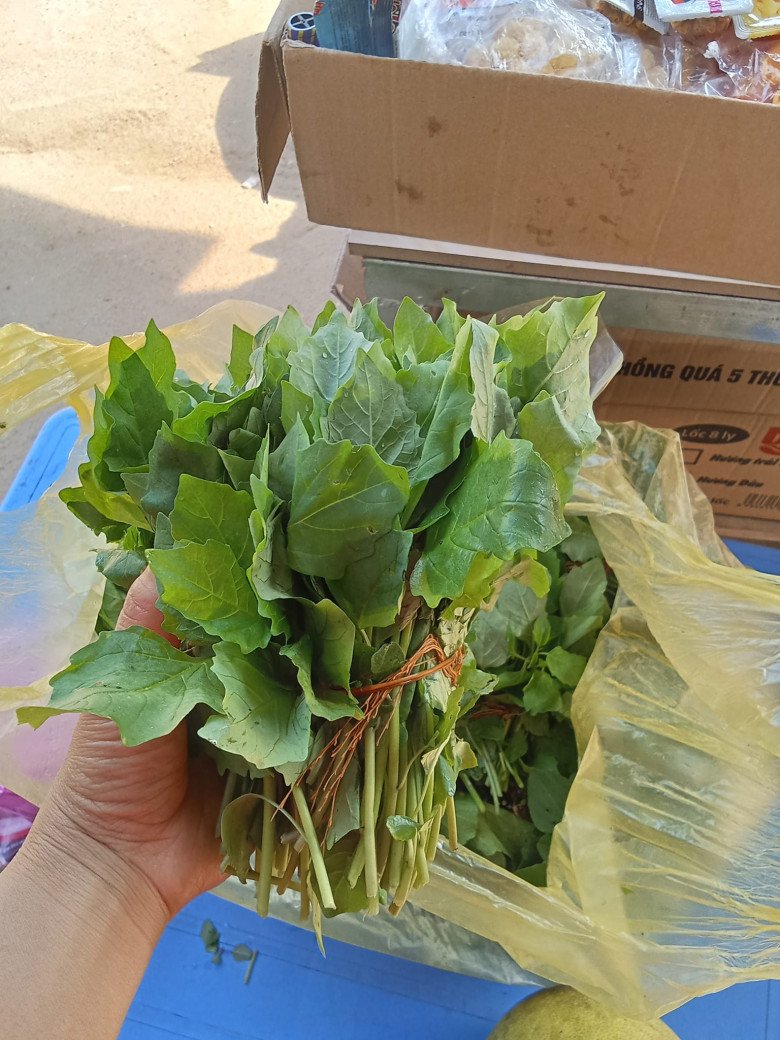 Loại rau dại được ví như thần dược, trước cho lợn ăn nay thành đặc sản ...