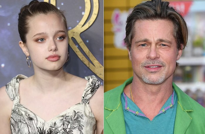 Brad Pitt vẫn có thể kết hôn với bạn gái mới dù chưa chính thức ly hôn ...