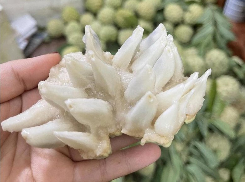 Loại quả xưa rụng đầy gốc không ai ngó ngàng, nay thành đặc sản được ưa ...