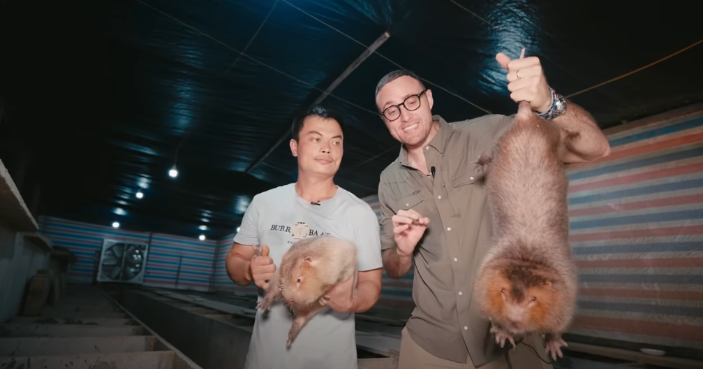 Khách Tây thưởng thức thịt chuột khổng lồ ở Hà Nội, khen ngon hơn tôm hùm