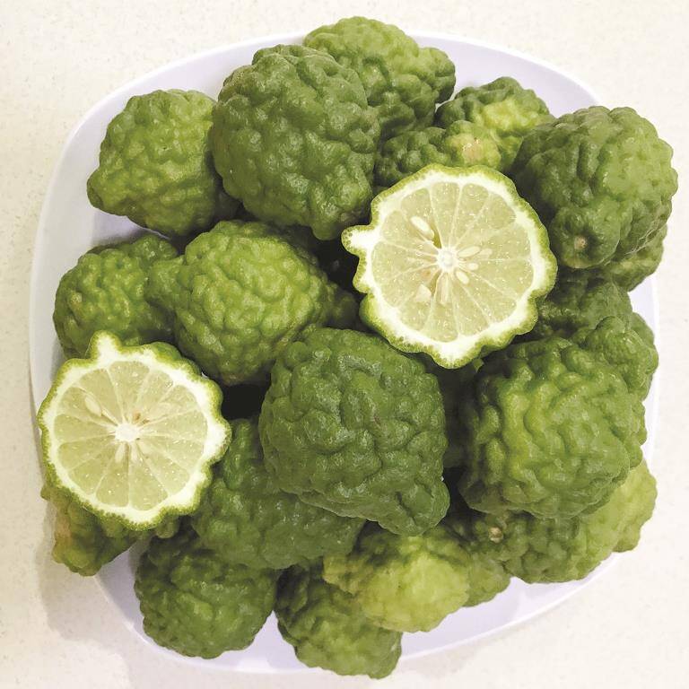 Loại quả xưa rụng đầy không ai biết đến, giờ thành đặc sản có hương vị ...