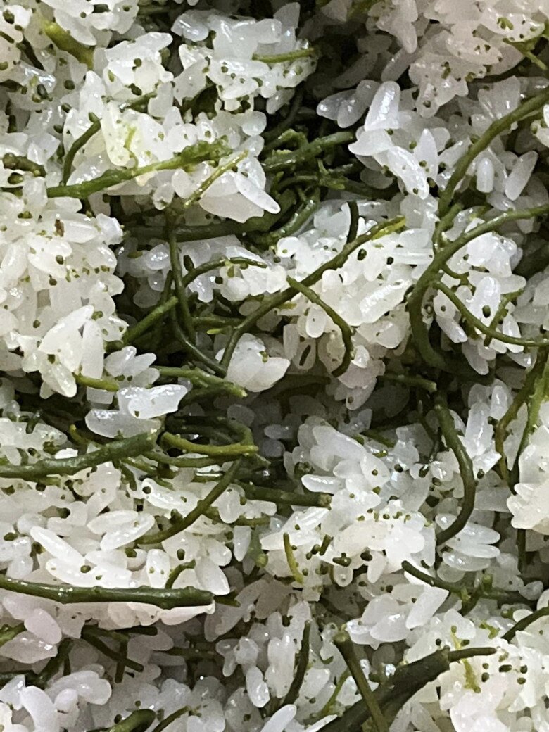 Thứ lấy ở trên cây xuống thành đặc sản nổi tiếng có hương vị lạ, dân ...