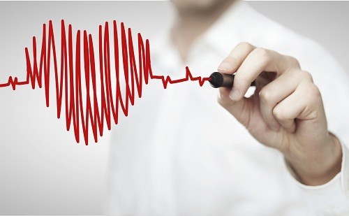 Nhịp tim có liên quan đến tuổi thọ không? Ai sống lâu hơn: Người có ...
