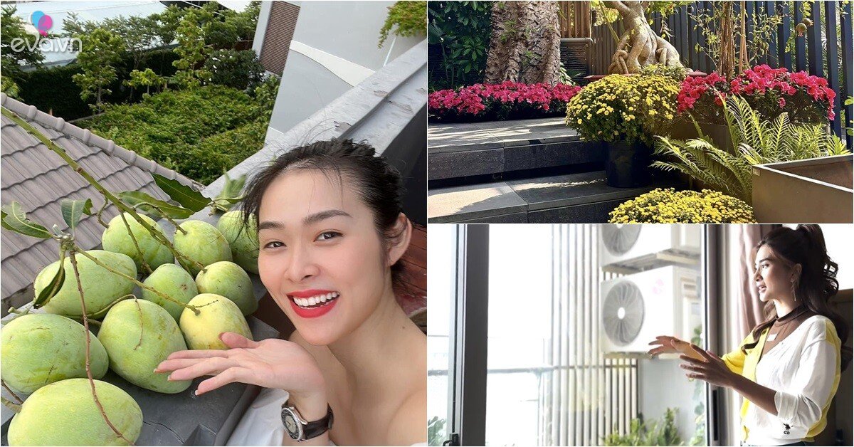 19 tuổi lấy chồng rồi làm mẹ đơn thân, nay Diệp Bảo Ngọc sống trong ngôi nhà đầy hoa, Kim Tuyến ...