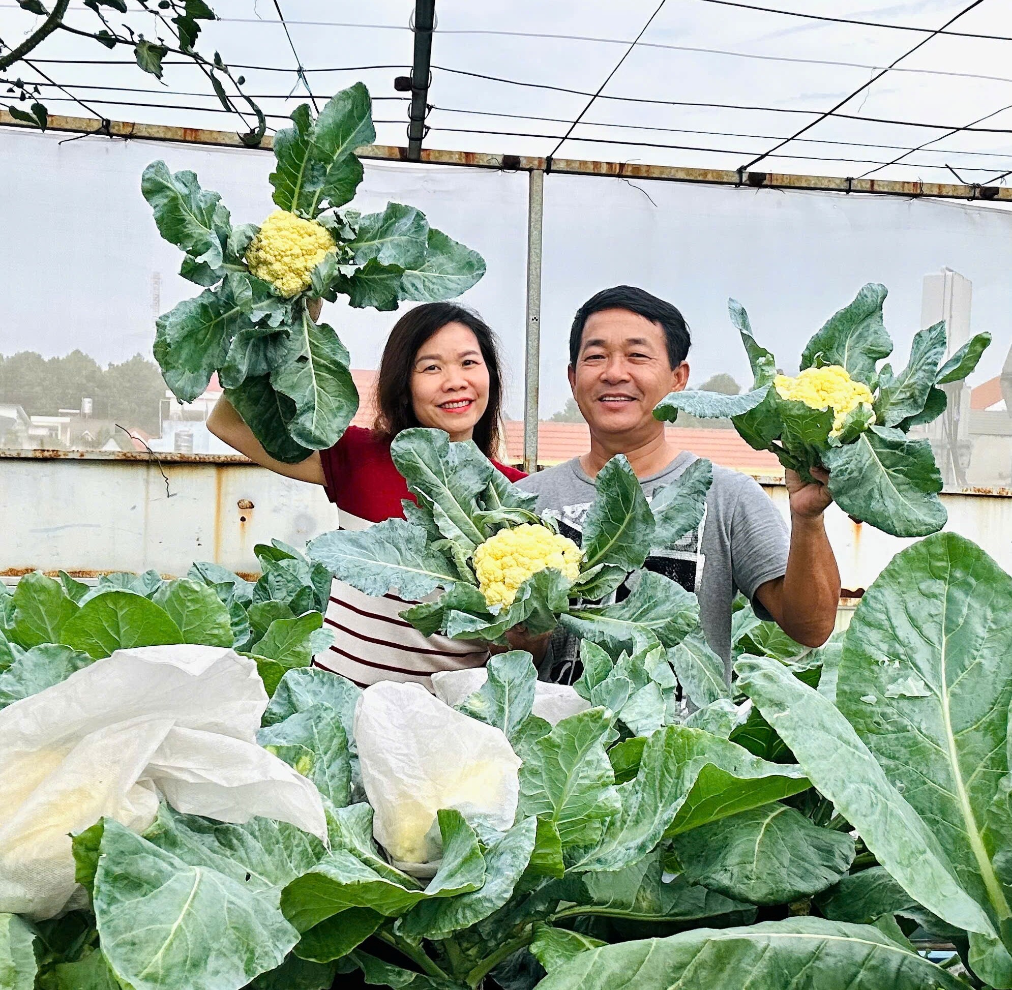 Mẹ 3 con Biên Hòa trồng 2 vườn rau xanh mướt trên ban công và sân ...