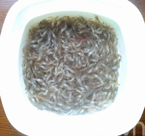 Cách làm mắm tép cực đơn giản | Cach lam mam tep