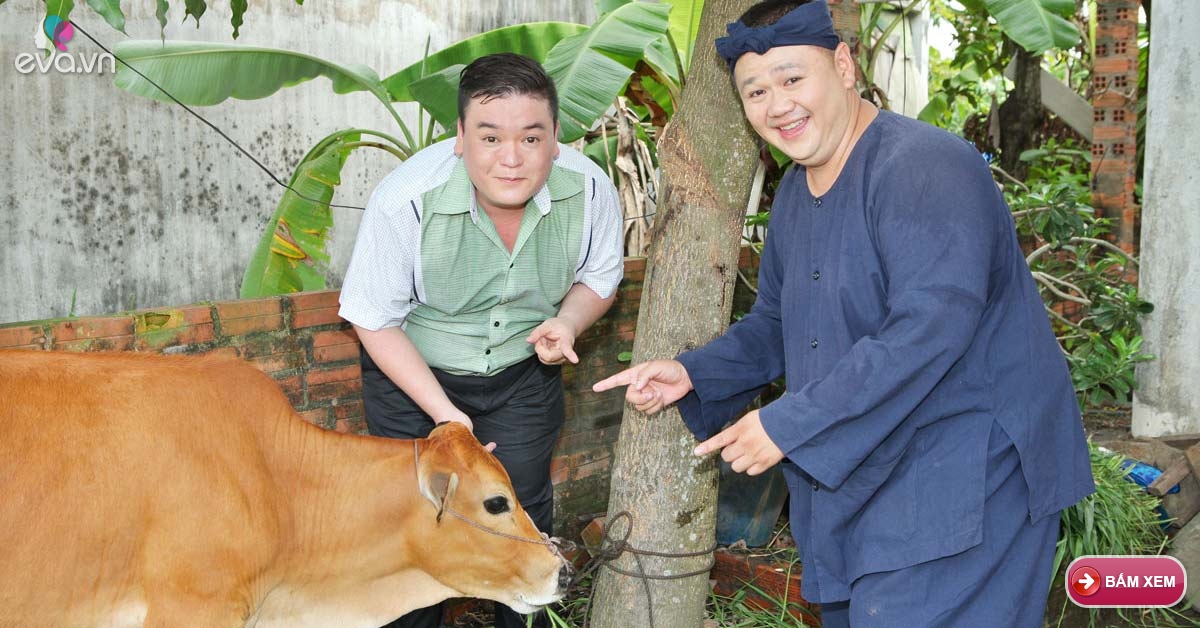 Minh Béo và các nghệ sĩ tặng bò cho người nghèo