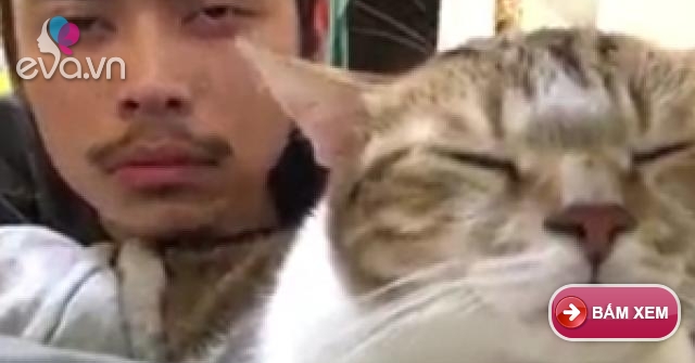 Mèo gật gù phiêu theo nhạc chuẩn như chủ