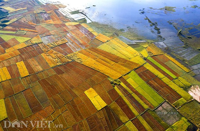Chiêm ngưỡng cánh đồng lúa đẹp nhất nhì Tây Nguyên từ trên cao