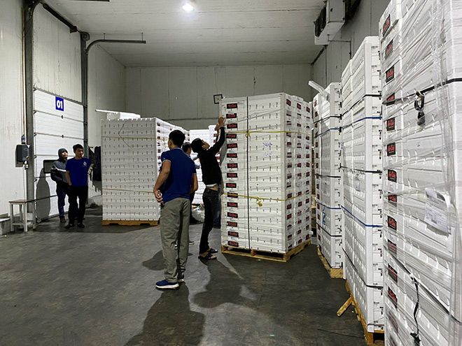 Tôm Fruits: Thương hiệu trái cây thực phẩm nhập khẩu uy tín Việt Nam