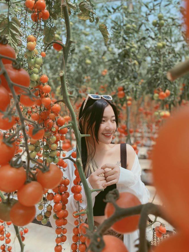 Cô gái xinh triệu fan được Trường Giang ưu ái trên TV: Đa tài, từng gây ...