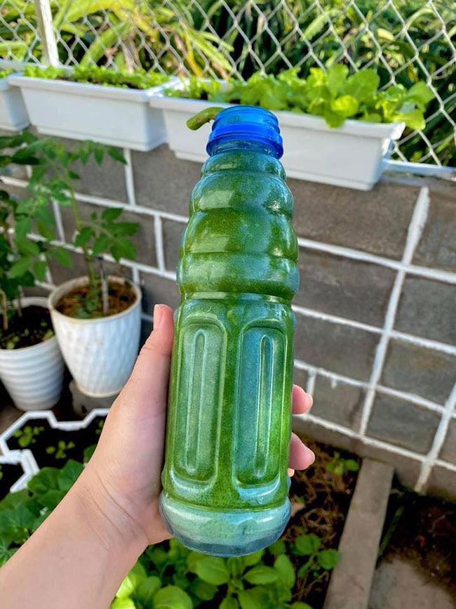 Quả bí kỳ lạ sở hữu ngoại hình có một không hai gât sốt