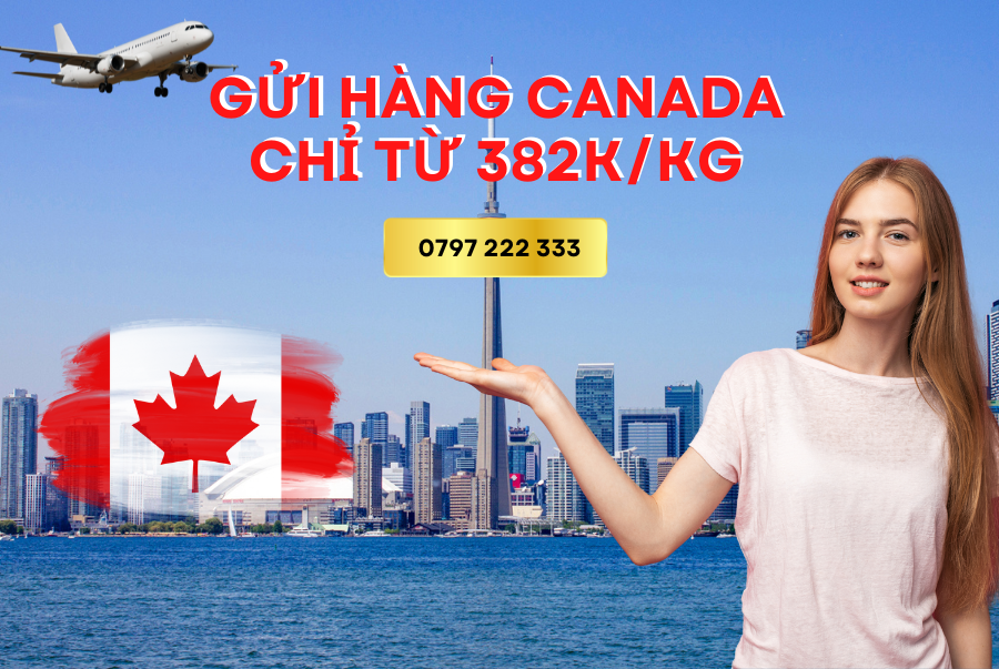 Các dịch vụ vận chuyển nổi bật tại 3A Express