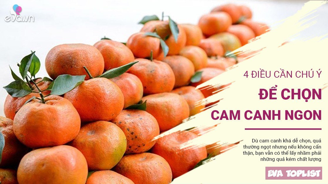 4 điều cần chú ý để chọn cam Canh ngon không phải ai cũng biết, trăm ...