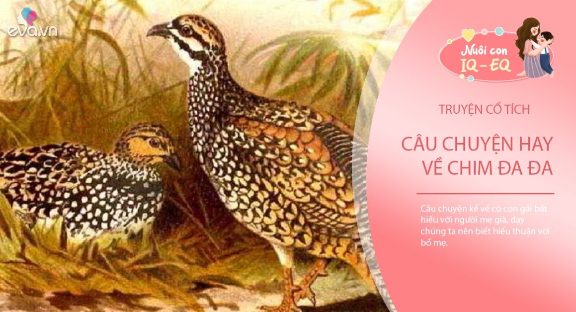 Truyện cổ tích: Sự tích chim đa đa