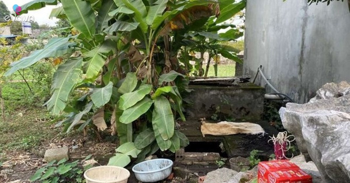 Kỳ tích 13 ngày phá án của công an Hải Phòng, bắt được hung thủ sau 13 ...