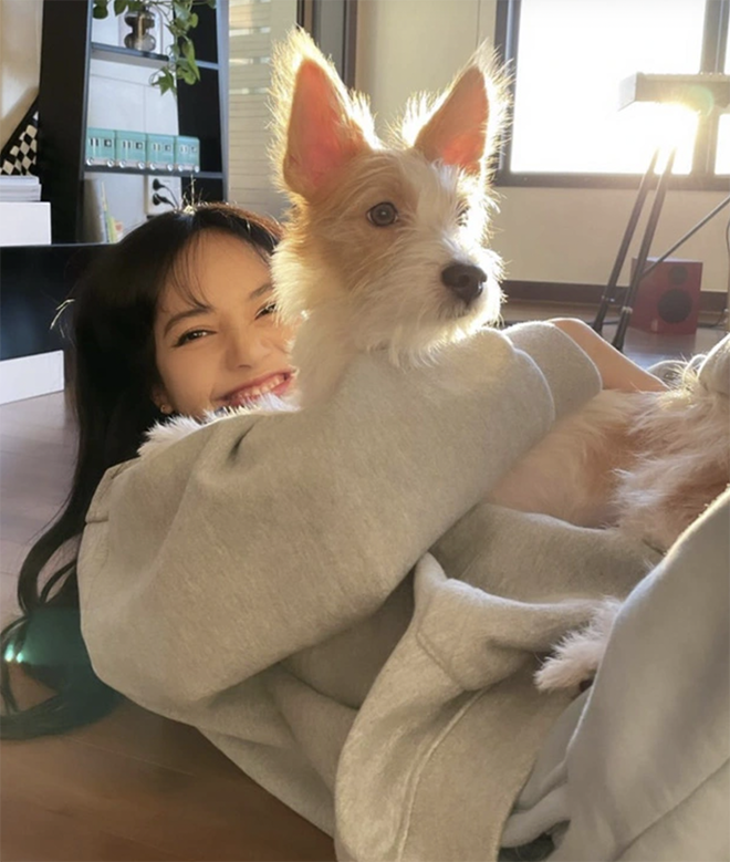 Chó cưng của Rosé (BLACKPINK): Quá khứ được nhận nuôi, trở thành boss ...