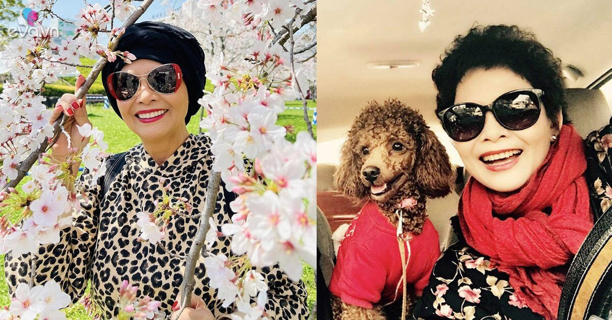 Nữ NSND ly thân 10 năm vì 1 cảnh phim, được con gái ở Mỹ âm thầm tìm hộ ...