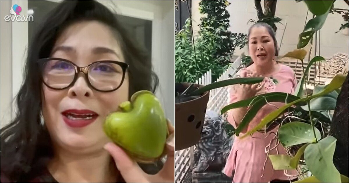 NSND Hồng Vân khoe ổi trái tim ông xã trồng ở biệt phủ, vườn cây sai ...