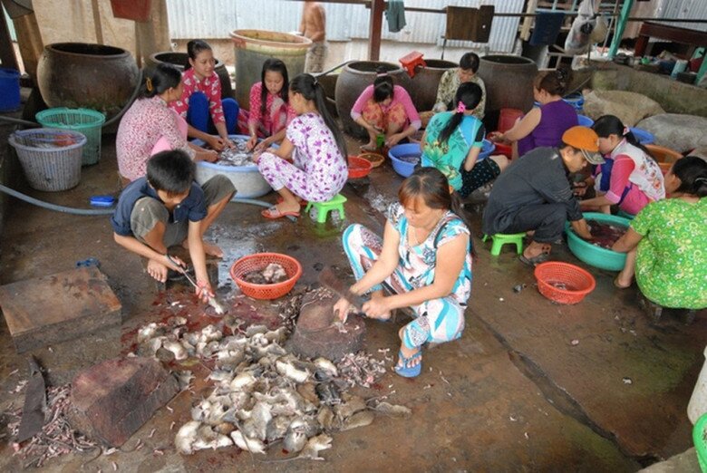 Chợ chuột Phù Dật: Chợ chuột lớn nhất miền Tây, mỗi ngày tiêu thụ 4-5 ...