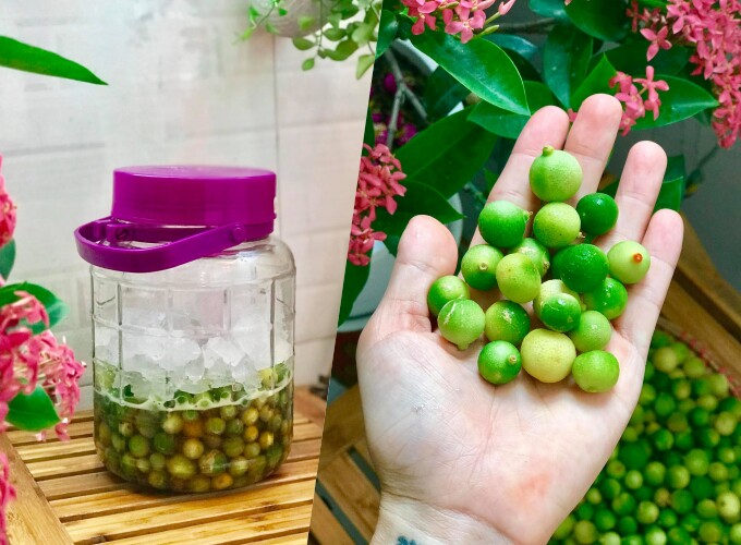 Loại quả xưa không ai ngó ngàng, giờ thành đặc sản được ưa chuộng vì ...