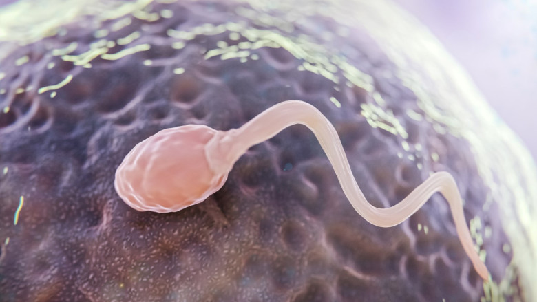 S-Men – Bí quyết tăng cường testosterone cho nam giới hiện đại