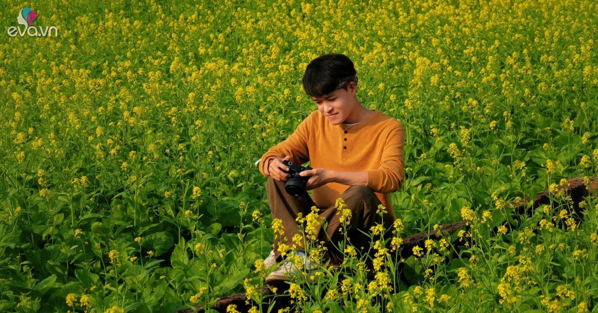 Cánh đồng hoa cải cách trung tâm Hà Nội 30km nở rộ, khách vượt xa đến ...