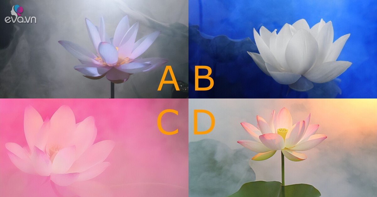 Trắc nghiệm: Người ấy có thật sự là chân ái của bạn không? Chọn một ...