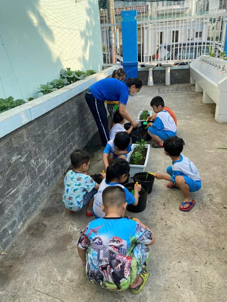 Khu vườn 52m² đầy ắp rau xanh khiến trẻ mầm non mê tít, ngày nào đến ...