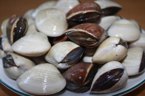 Mẹo giúp chị em chọn ngao, sò, ốc ngon